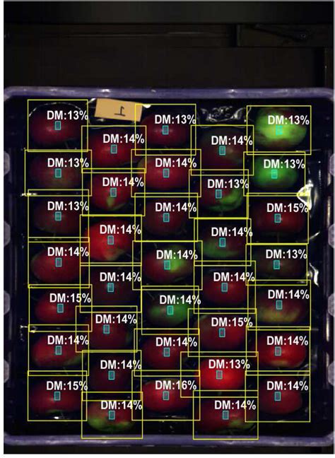 Combined Yolov4 Object Detection And Pls Prediction Maps For Dry Matter