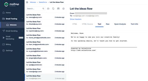 Test Emails In Salesforce With Mailtrap Step By Step Guide