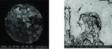 Sem Micrographs At 65x Cross Sectional View Left And 400x Download Scientific Diagram