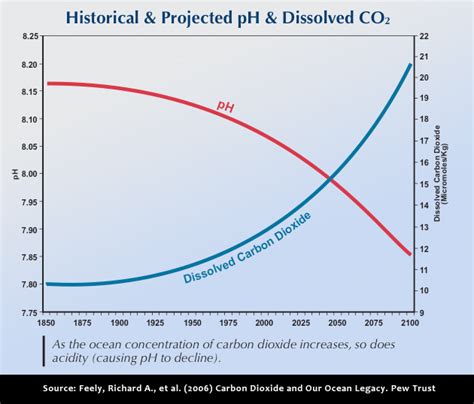 Graphs And Diagrams Ocean Acidification