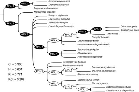 excerpt of the strict consensus tree recovered from the analysis of a
