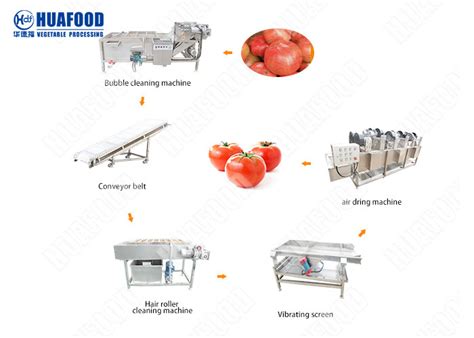 Fruits Et Légumes Traitant Linstallation De Fabrication De Tomate D
