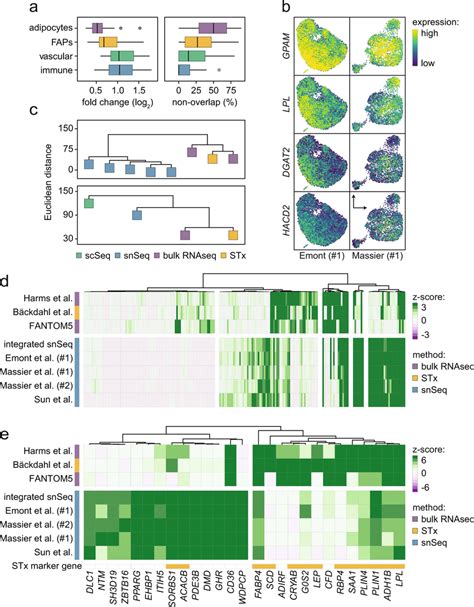 Adipocyte Snseq Data Display Inconsistent Marker Gene Overlaps In Wat A