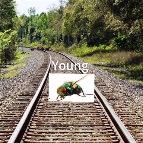 🦄 Digitalscrpt Digitalscrpt Tiktok