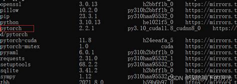 2024最新超详细无痛安装pytorch，包括下载地址、环境配置与各种避坑指南pytorch下载教程 Csdn博客
