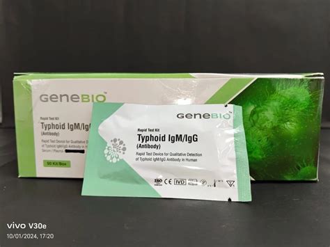 Typhoid Rapid Test Kit At ₹ 14 Piece Rapid Test Kit In Lucknow Id 2852430317988
