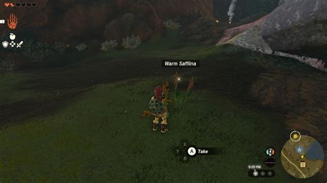 Where To Find Warm Safflina In Tears Of The Kingdom Totk Prima Games