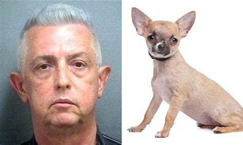 Man Who Had Sex With Chihuahua Jailed After Wife Spots Him Abusing
