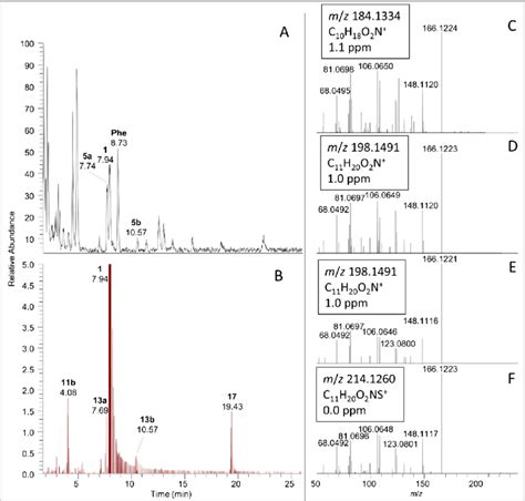 lc hrms ms analysis of a benthic cyanobacterial mat field sample in dda