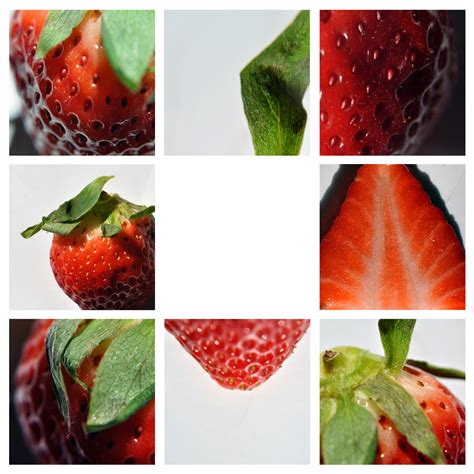 Fruit Dissection Lab At Bethany Lindrum Blog