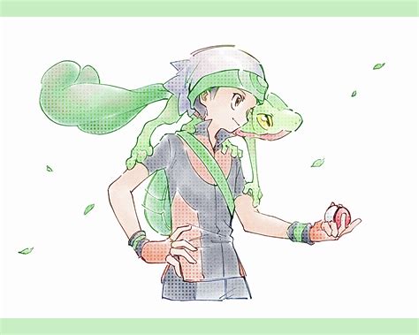 Tan Carbonnn Brendan Pokemon Treecko Nintendo Pokemon Pokemon Emerald Pokemon Rse