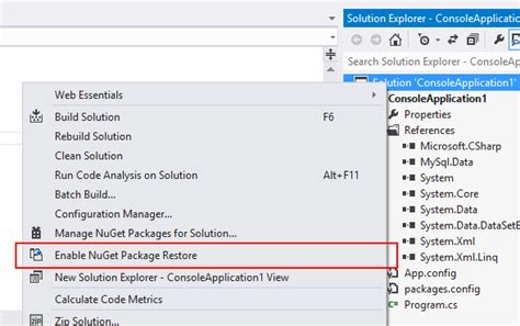 Net Nuget And Source Control Stack Overflow