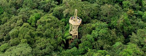 Qué Ver Y Hacer En Los Parques Nacionales De Panamá