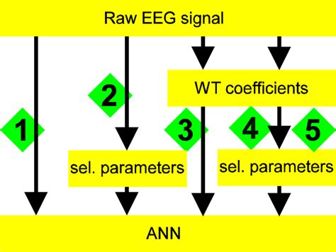 Five Ways Of Pre Processing Of The Input Data Download Scientific