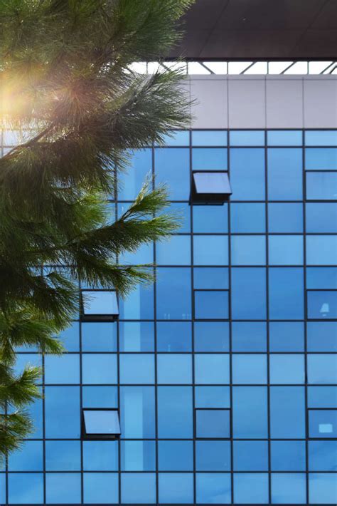 Sistemas Estructurales Procesos