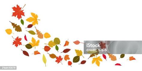 가을 떨어지는 단풍 흰색 배경에 나무에서 오렌지 단풍을 비행 고립 된 벡터 일러스트 레이 션 10월에 대한 스톡 벡터 아트 및
