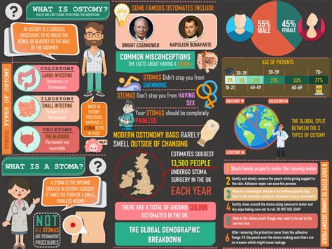 An Up To Date And Unique Design Layouts Using CANVA Upwork