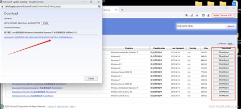 如何通过微软ms漏洞编号下载windwos补丁微软漏洞补丁下载 Csdn博客 如何通过微软ms漏洞编号下载windwos补丁微软漏洞补丁下载 Csdn博客