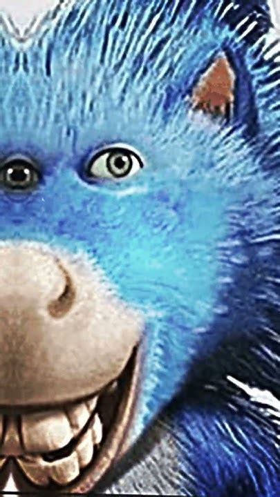 Donkey Sonic Youtube