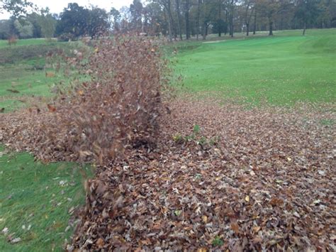 Inputting A Day In The Life Of Matt Plested Head Greenkeeper See Question 2