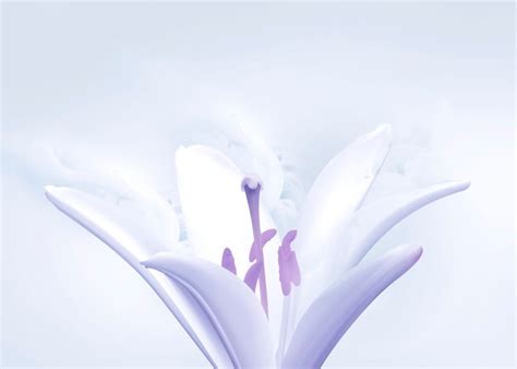 Premium Photo Beauty Background