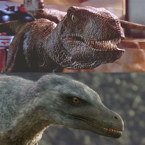 Jurassic Park Vs Accurate Velociraptor Know Your Meme