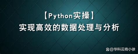 如何在python中实现高效的数据处理与分析 csdn博客