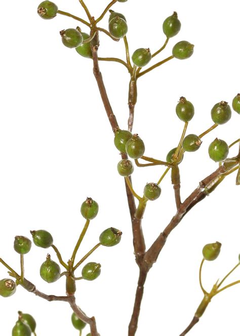 Kunsttakken Rozenbotteltak Mini Top Art Kunstbloemen Kunstplanten