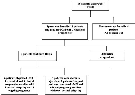 Flow Chart Of The Sequence Of Events In The Study TESE Testicular Download Scientific