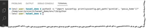 Persisting Python Environment When Using Jupyter N SAP Community