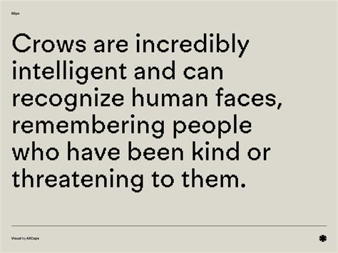 Visual By Allcaps On