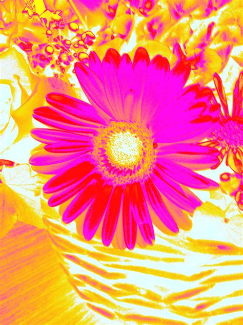 Value Elements Of Design