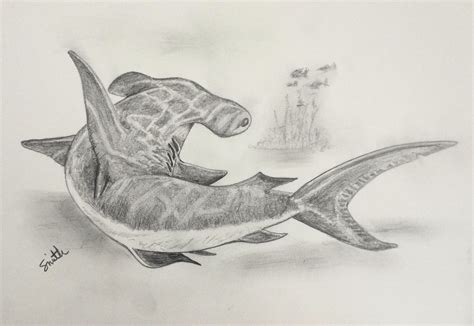 How To Draw Hammerhead Sharks
