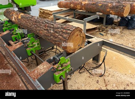 Large Tree Log Is Automatically Quickly And Accurately Cut At A Modern