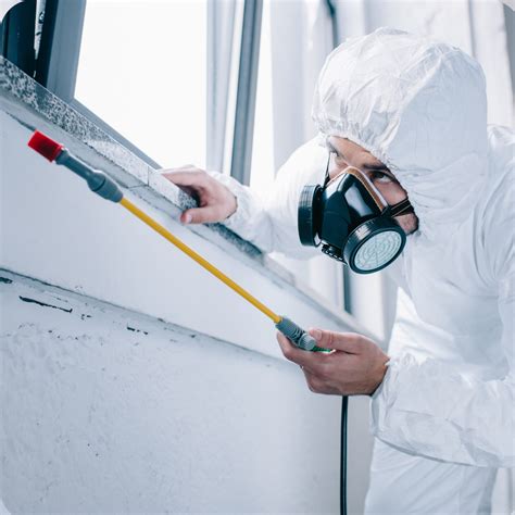 Pest Extermination Service In Nyc