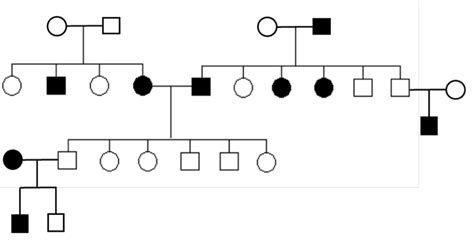 Solved The Inheritance Pattern Of A Rare Form Of Xeroderma