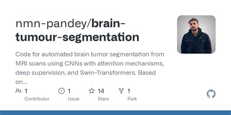 Github Nmn Pandeybrain Tumour Segmentation Code For Automated Brain