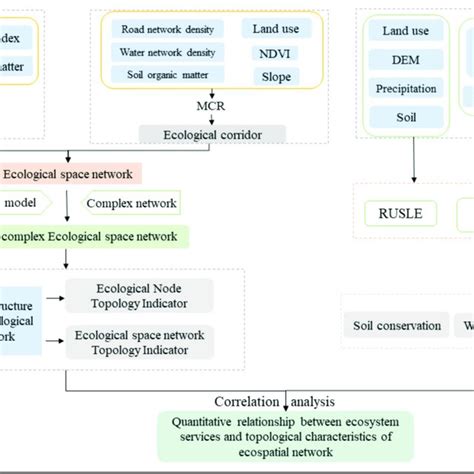 Schematic Diagram Of The Study Framework Download Scientific Diagram