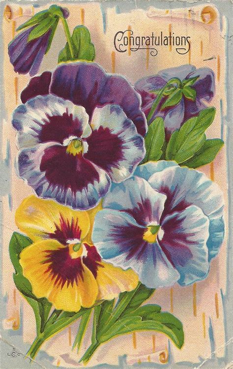 This Congratulations Card Was Sent As A Birthday Card Dated 1920 On