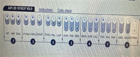 Solved Please Make Enterococcus Durans Dichotomous Keythese Solved Please Make Enterococcus Durans Dichotomous Keythese