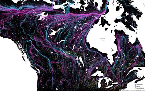 Migración Y Cambio Climático Un Mapa Revista Endémico
