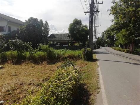 ขายที่ดินทำเลดีค้าขายได้แถวสันทรายหนองจ๊อมพร้อมโอน ที่ดินร้อยแปด คอม