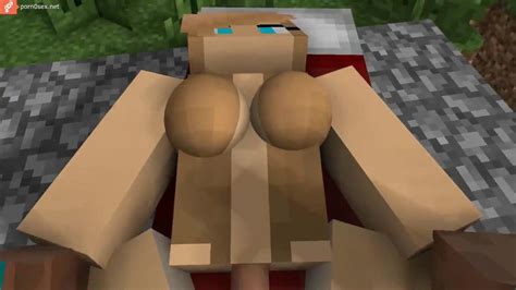 Sex In The World Of Minecraft
