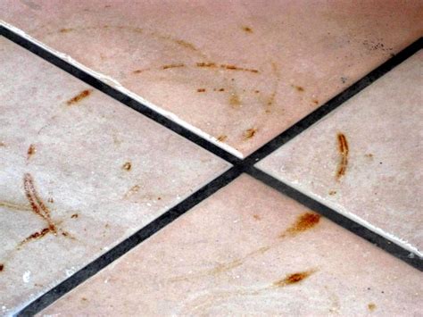 How To Remove Rust Stains Drains Plus