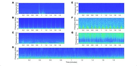 Signals Detected At Designated Soundscape Code Dataset Sites A Ice Download Scientific