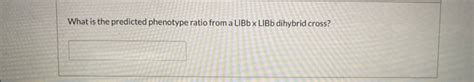 solved what is the predicted phenotype ratio from a libb x