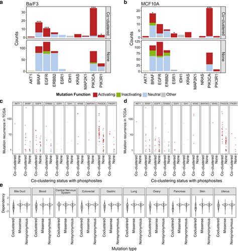 Functional Assessment Of Co Clustering Mutations Experimental