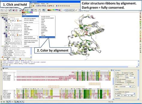 icm user s guide sequence and alignment tutorial