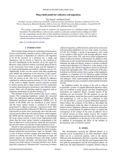 Pdf Phase Field Model For Collective Cell Migration