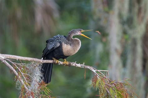 Contest Entries 2023